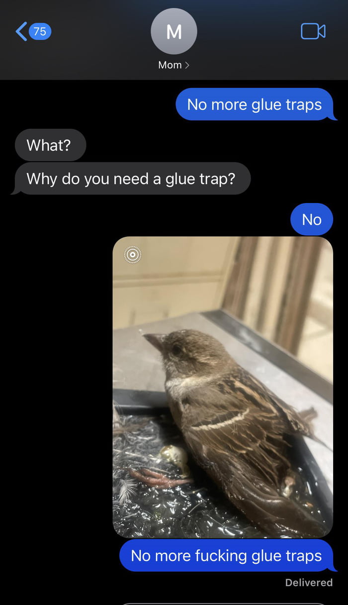 F**k glue traps. - 9GAG