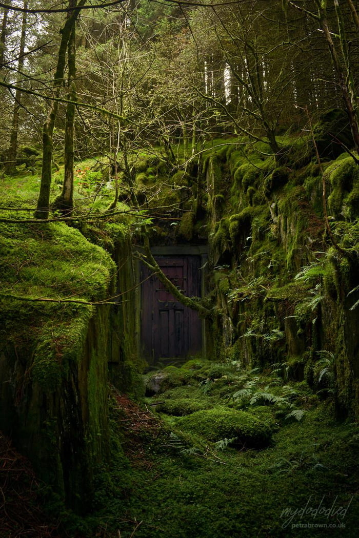 The secret forest door - 9GAG