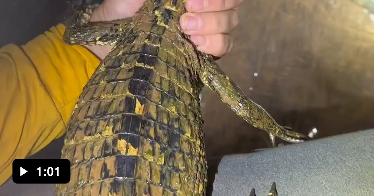 *boop* Those things are deadly. - 9GAG