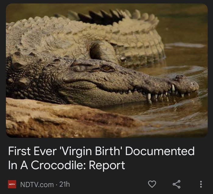 All Hail Croc Jesus..!! - 9GAG