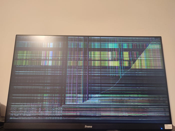 Is there a way to protect monitor edges from cat bite? - 9GAG