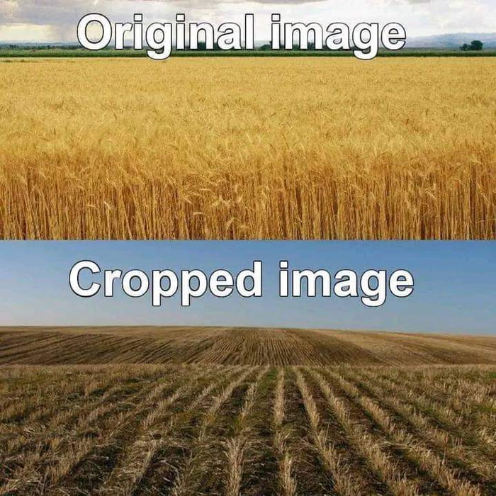 Crop this . - 9GAG