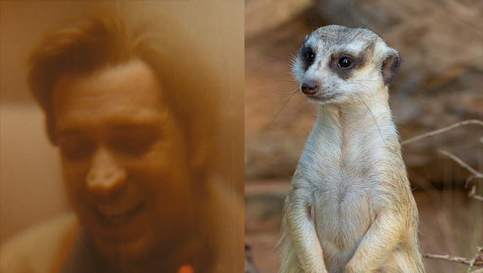 I can not unsee that on his nose - 9GAG