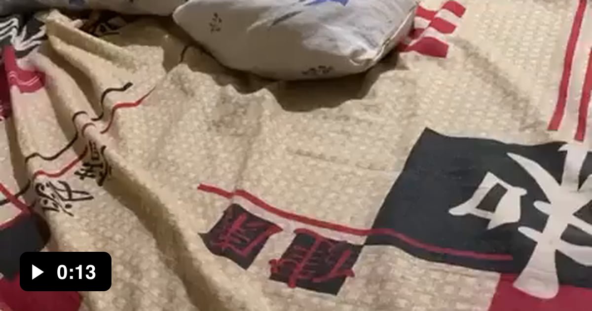 Super-fast kitten - 9GAG