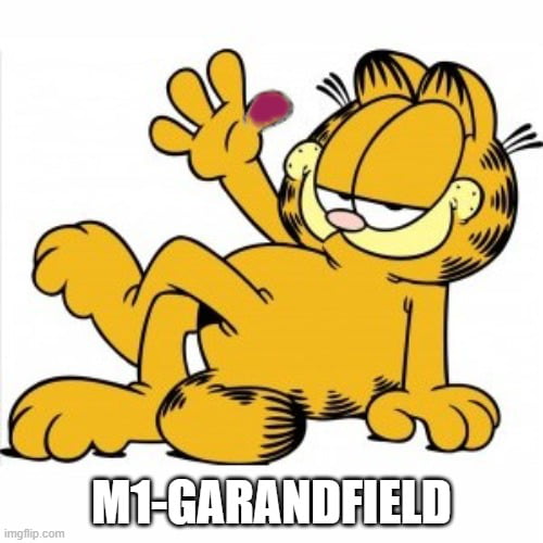 We've had Garfield, yeah, but what about... - 9GAG