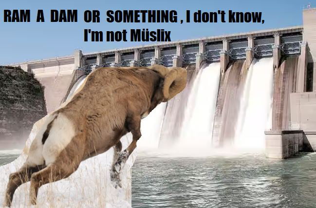Ram ramming a dam damming - 9GAG