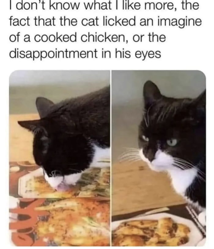 I want chimken nuggies - 9GAG