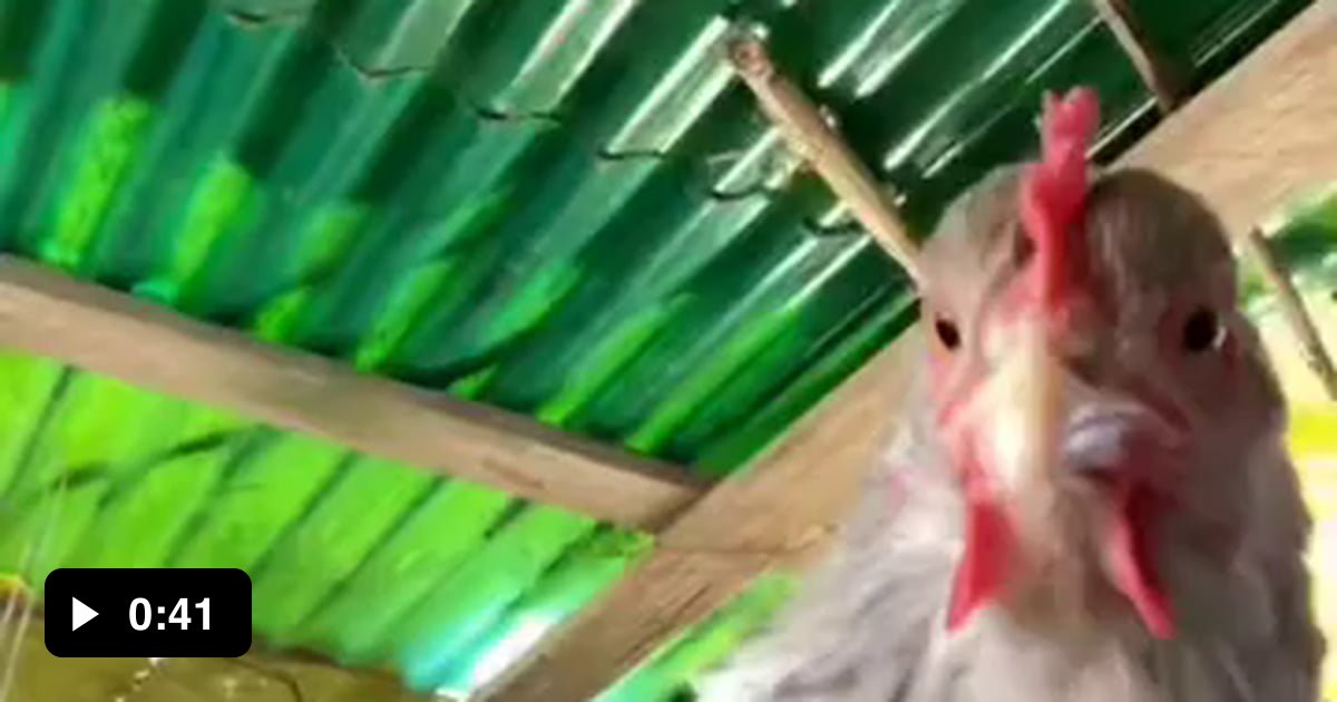 Party is lit. - 9GAG