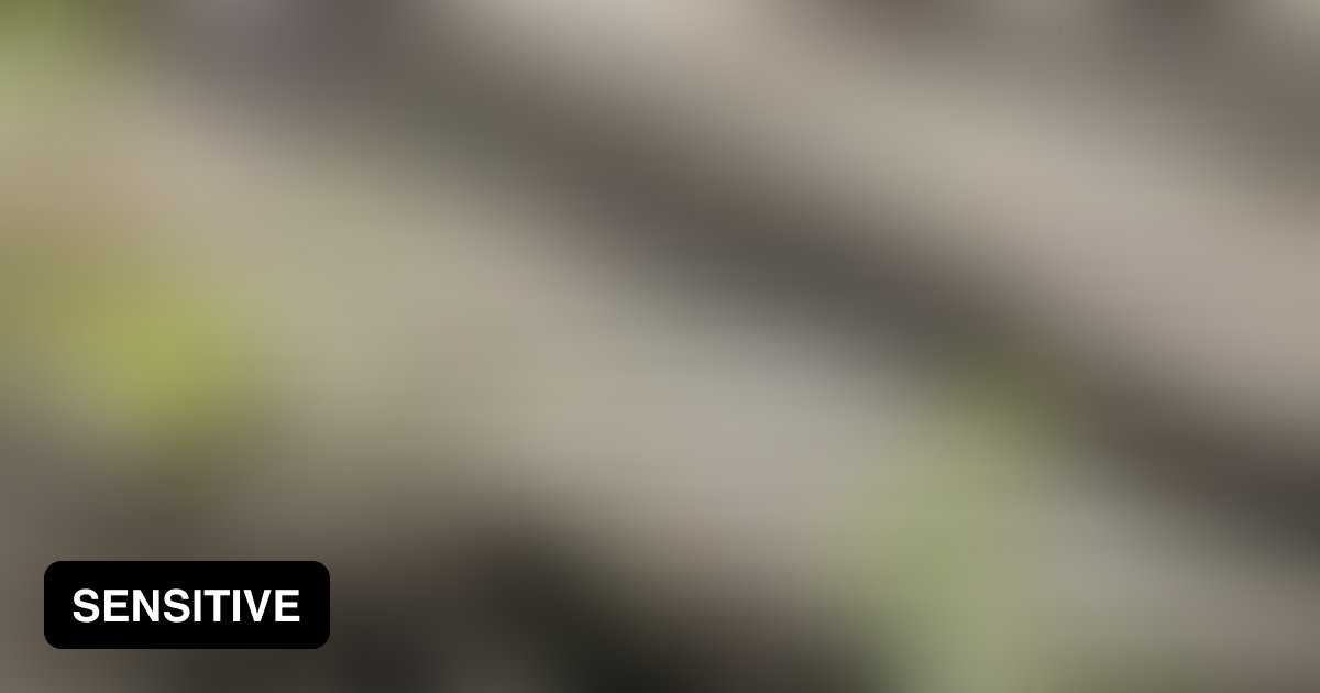 Indian fella casually walking on top of train. - 9GAG