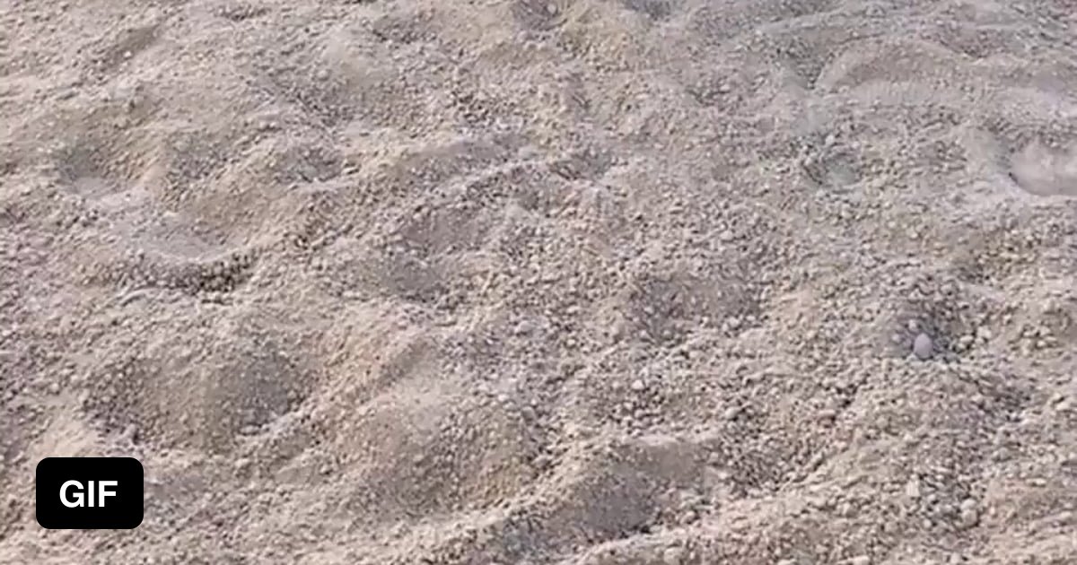 Oh Yeah. Shake It. - 9GAG