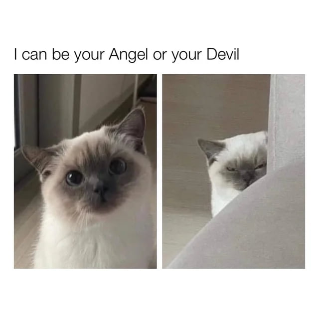 Wholesome angel/devil - 9GAG