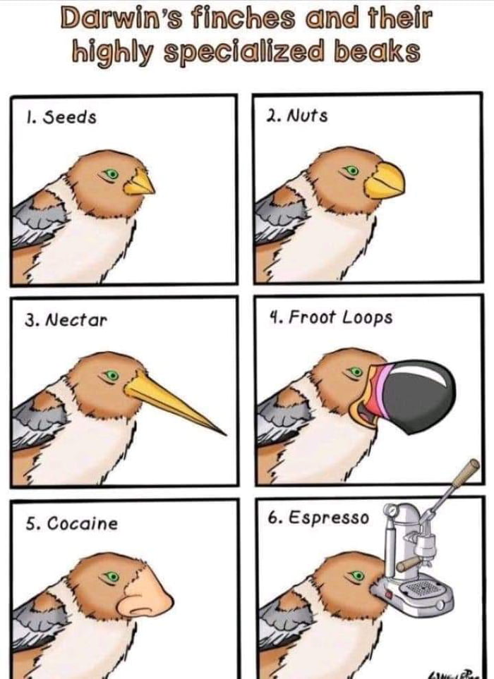 Adaptation through evolution - 9GAG