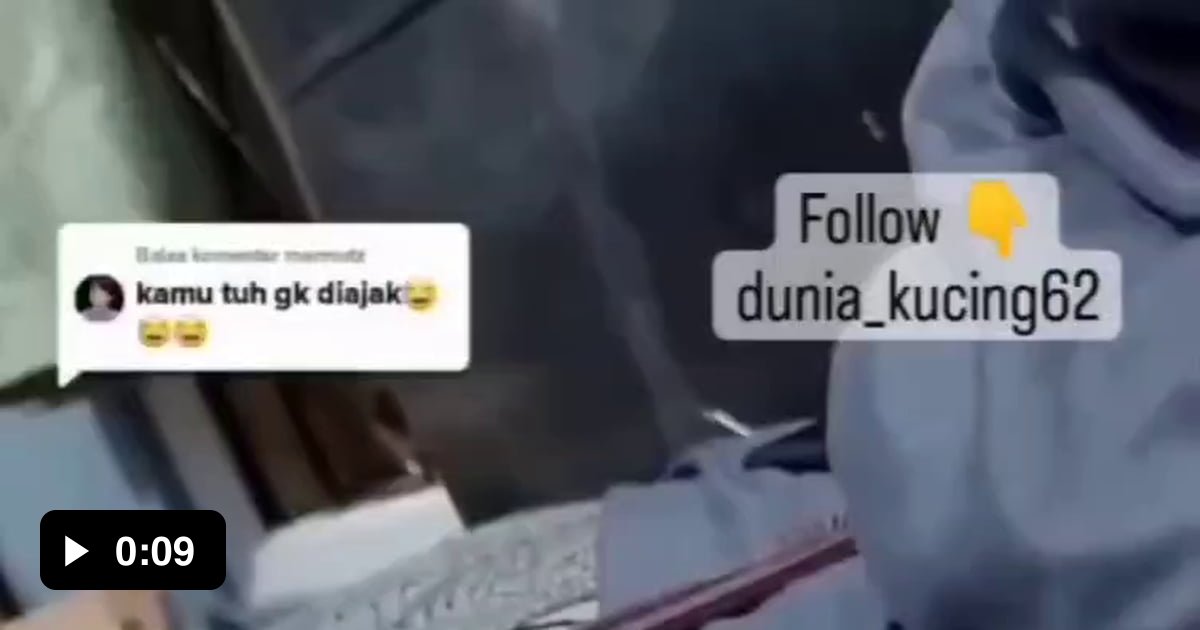 Wkwkwkwk poor cat - 9GAG