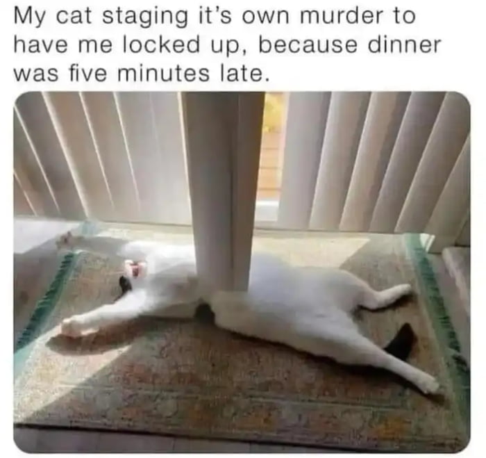 Very dramatic this one. - 9GAG