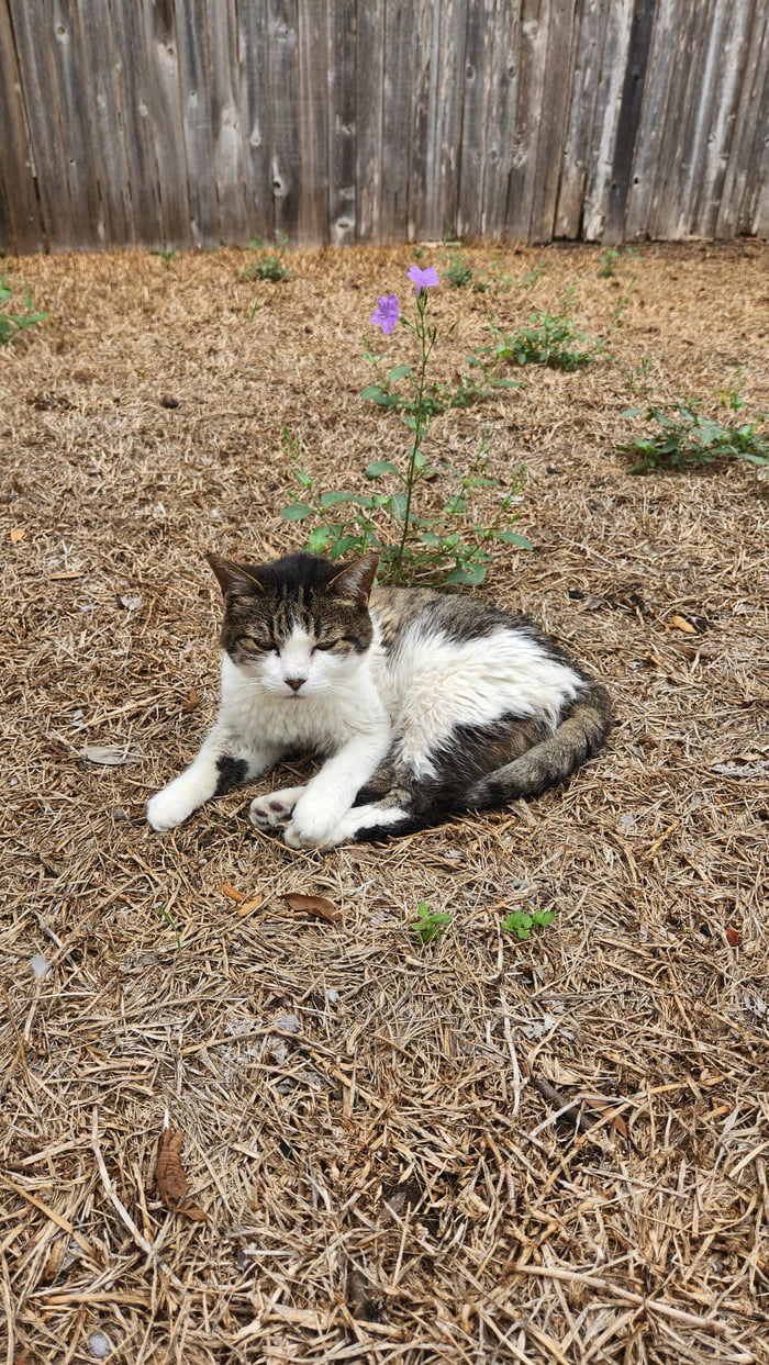 Park Ranger; very grumpy. Do not pick flower. - 9GAG