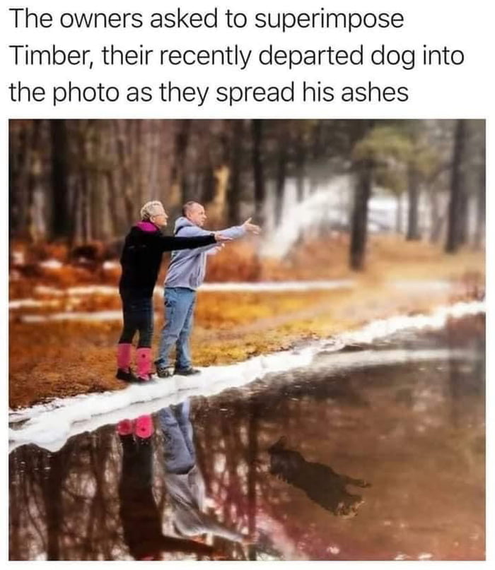 Yeah. I get it - 9GAG