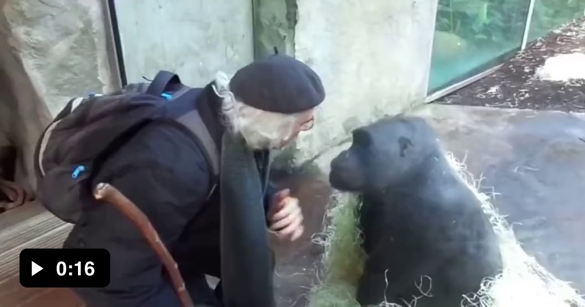 If you keep arguing with an idiot, then you are an idiot as well. - 9GAG