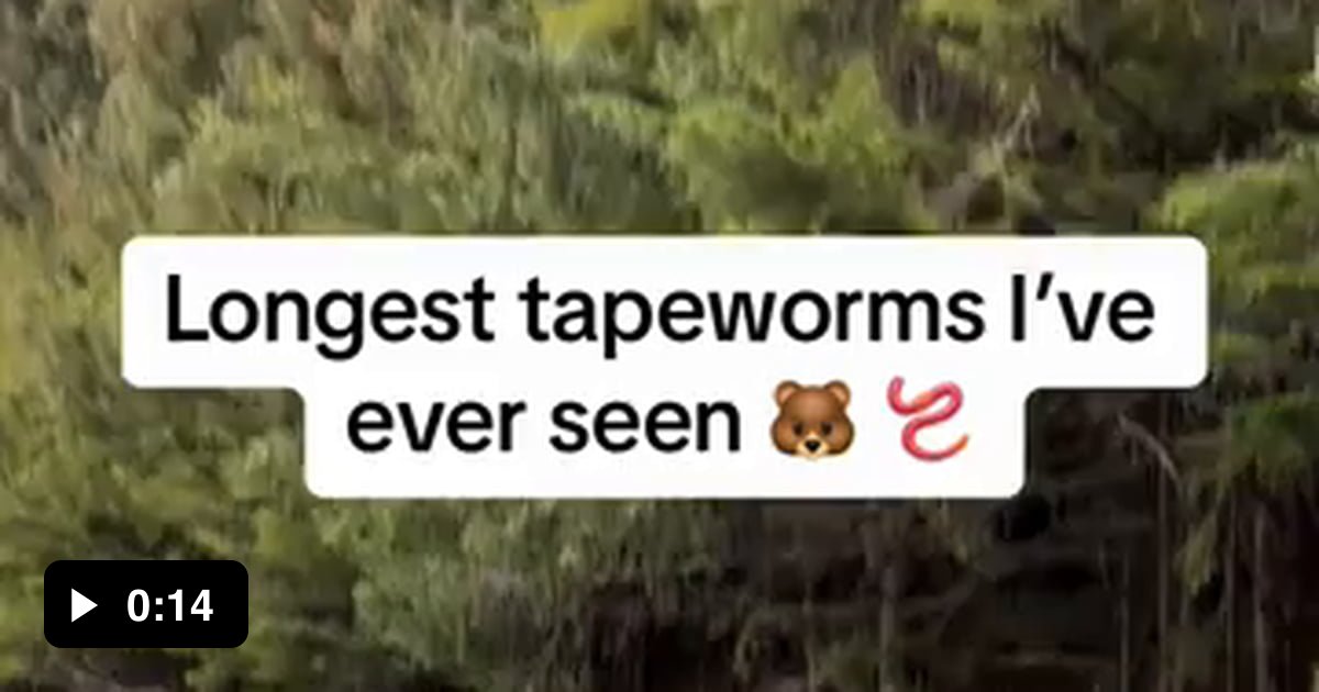 A tapeworm living inside a bear can reach lengths of 30 feet or more - 9GAG