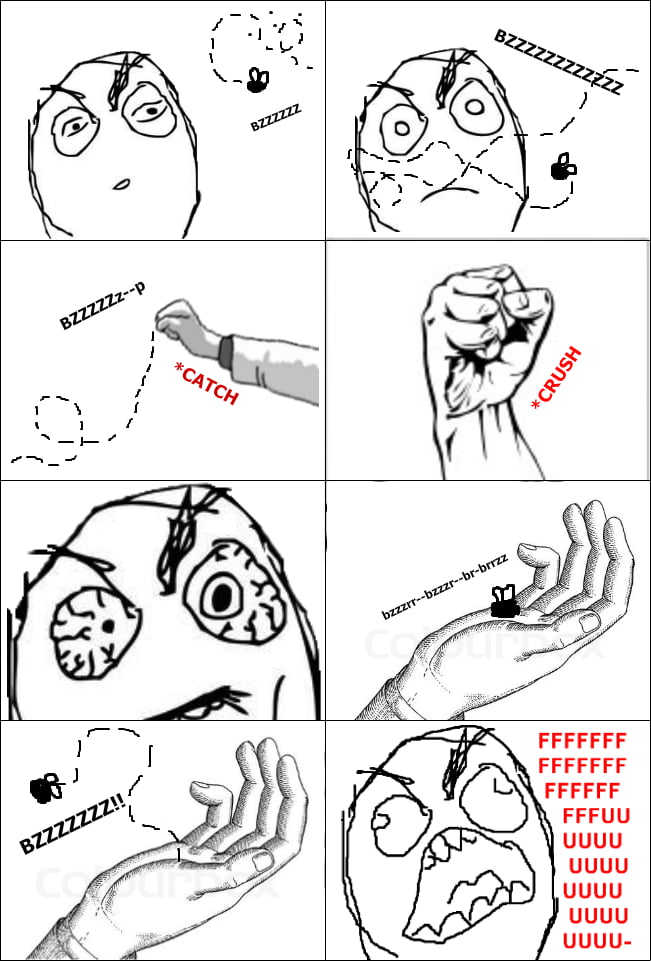 Fly you b*tch - 9GAG