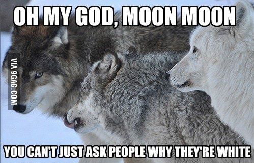 GOD DAMN IT MOON MOON. - 9GAG