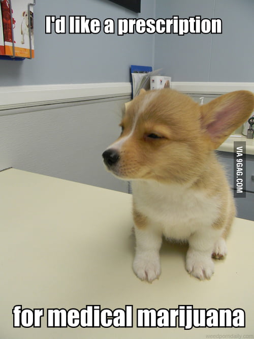 It's for my glaucoma.. - 9GAG