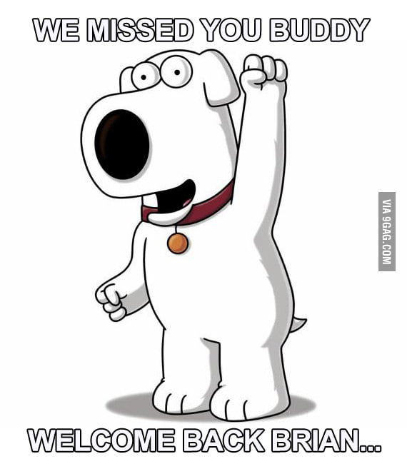 Welcome Back I Missed You Dog