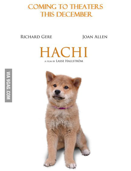 This great movie taught me so many things about loialty! - 9GAG