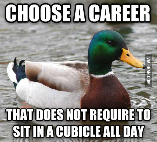 Spoken from a true cubicle rat, here is my best advice to the majority ...