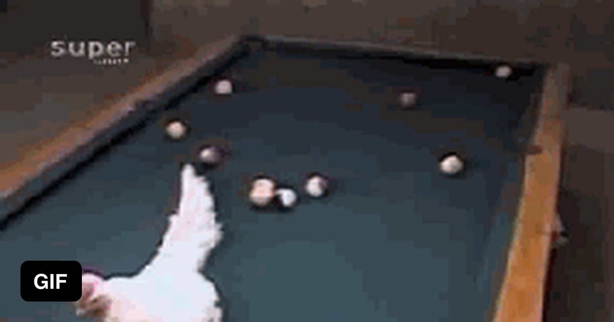 Chicken and pool table - 9GAG