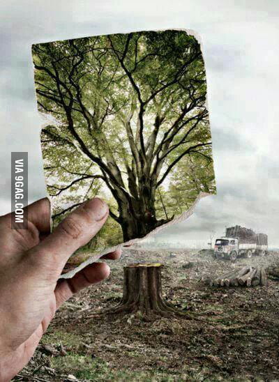 Poor nature.. - 9GAG
