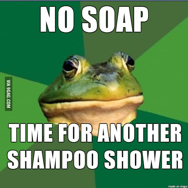 Awesome-smelling Bachelor Frog - 9GAG