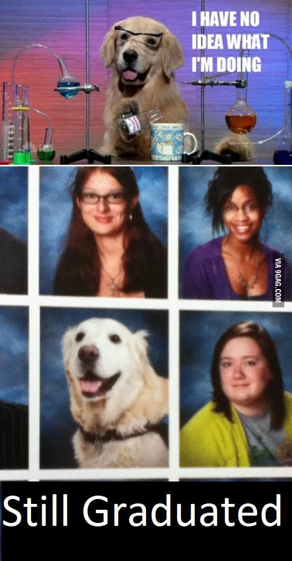 Chemistry dog graduates - 9GAG