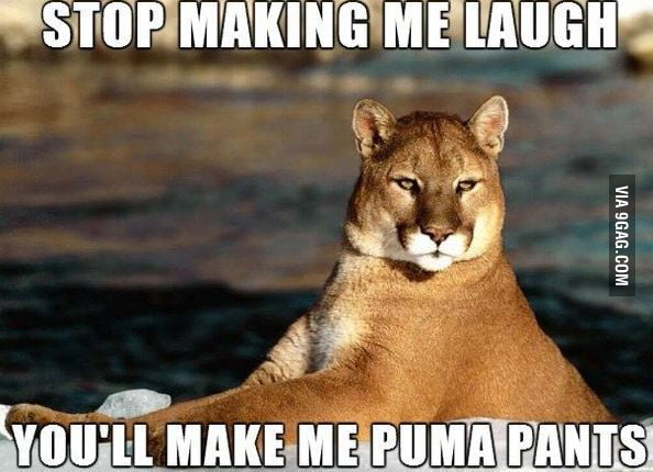 When I'm laughing sarcastically - 9GAG