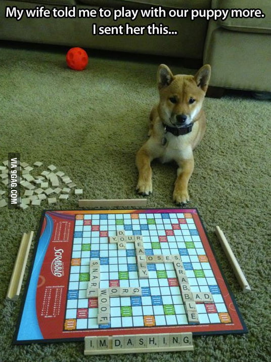 Your move, dog! - 9GAG