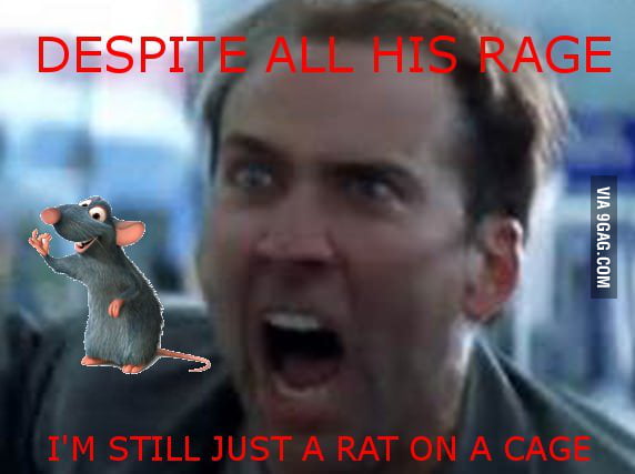 Despite all his rage - 9GAG