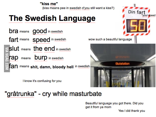 Swedish for dummies - 9GAG