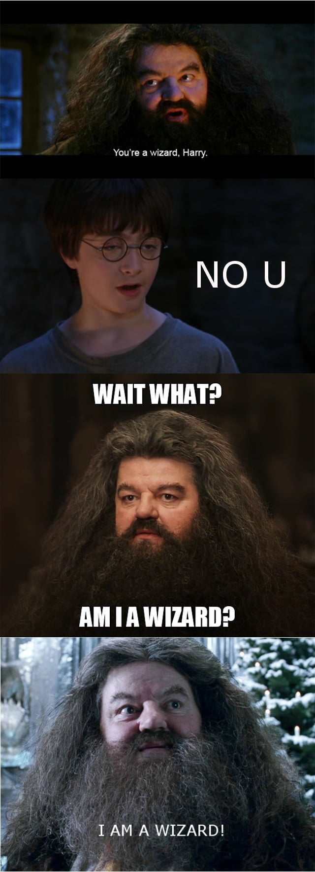 Yer A Wizard Harry 9GAG
