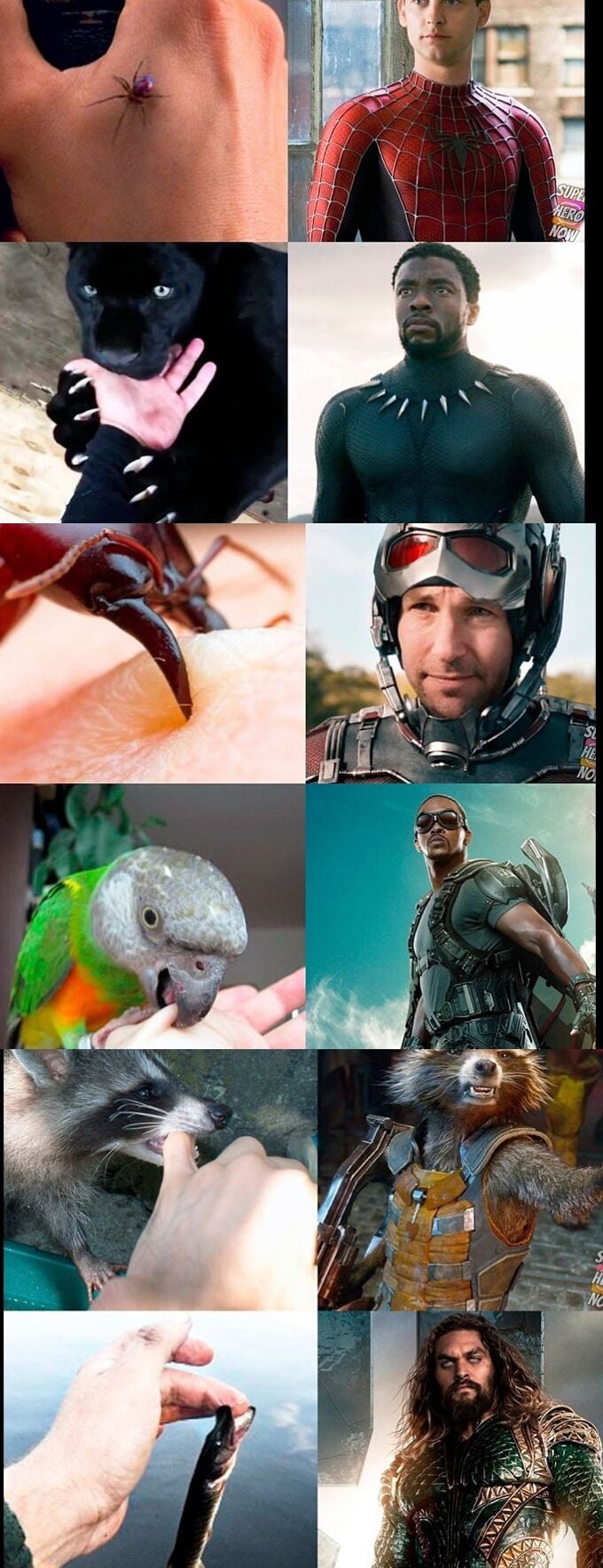 MARVEL HEROES - 9GAG