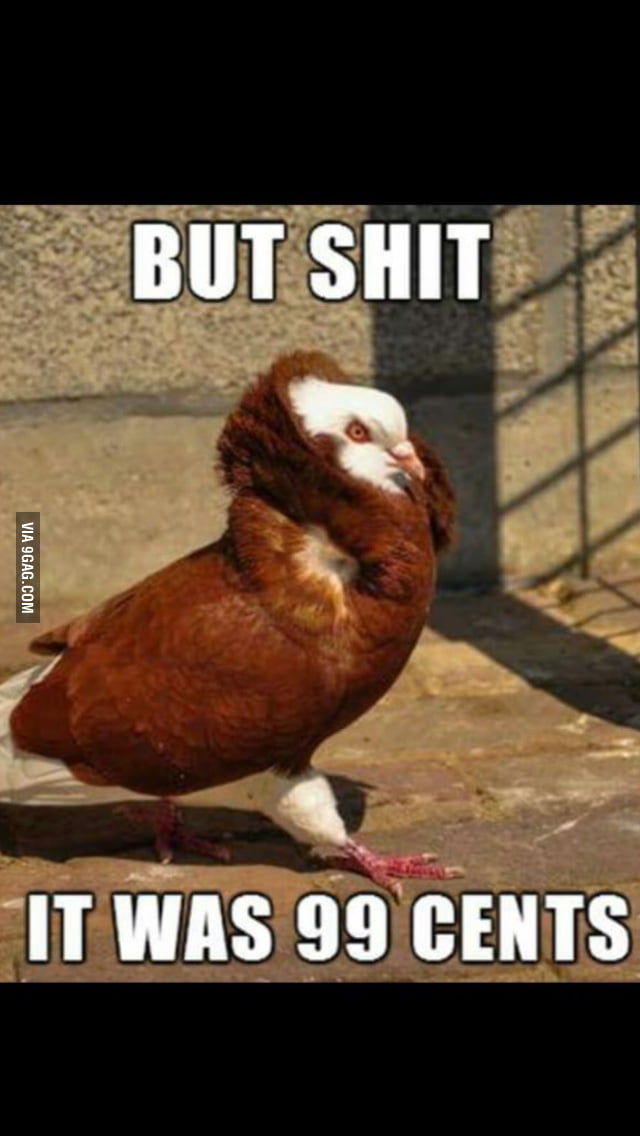 But shit it was 99 cents - 9GAG