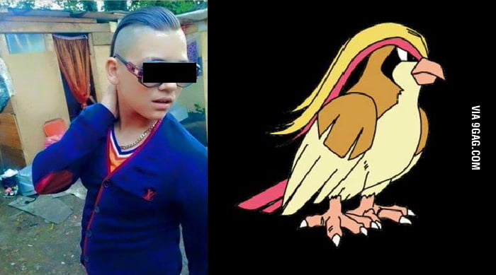 It's a fashion to have hair tied like Pidgeot nowadays? - 9GAG