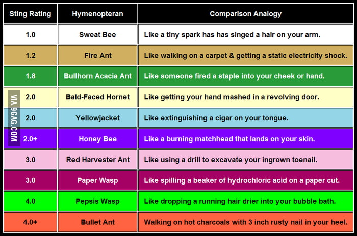 The comparisons are so vivid ( Schmidt sting pain index) - 9GAG