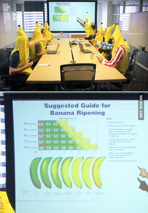 Bananas, bananas everywhere - 9GAG