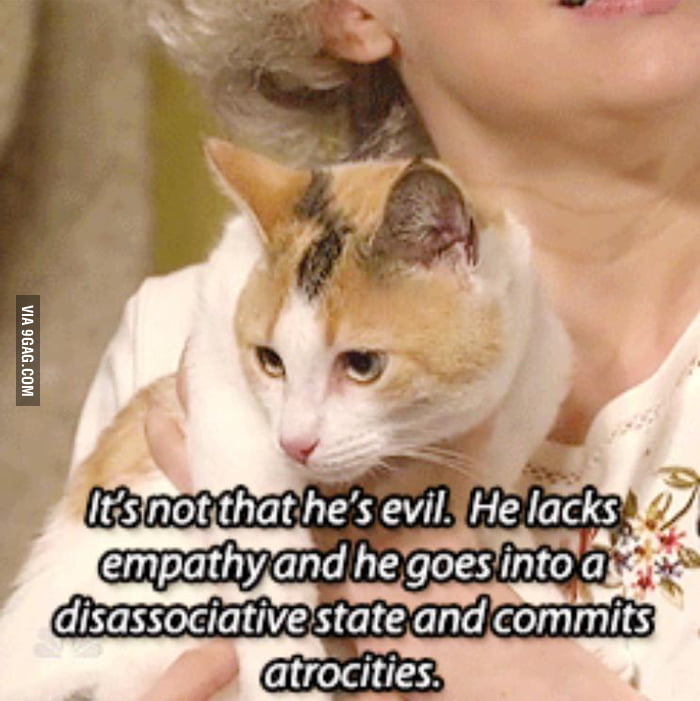 So basically, a cat. - 9GAG