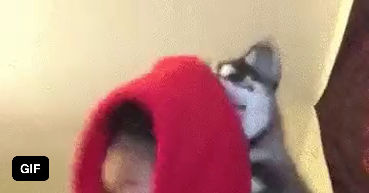 Possibly the best reversed gif of all time - 9GAG