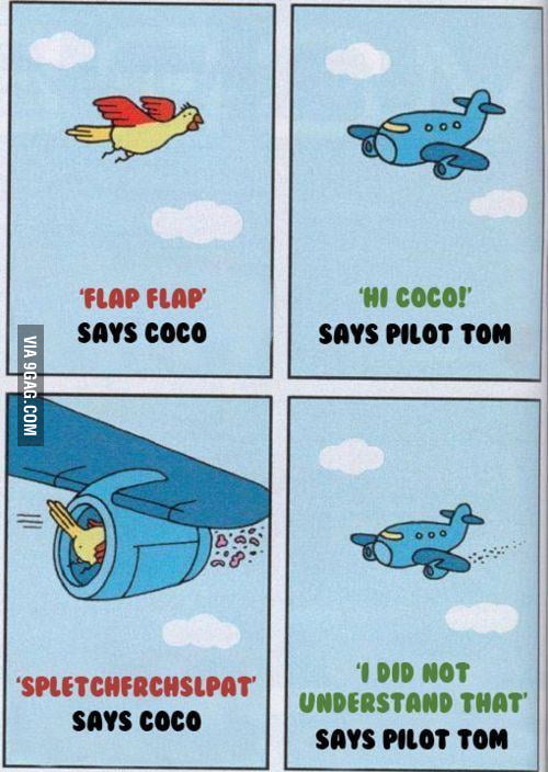 A tale of Coco and Pilot Tom - 9GAG