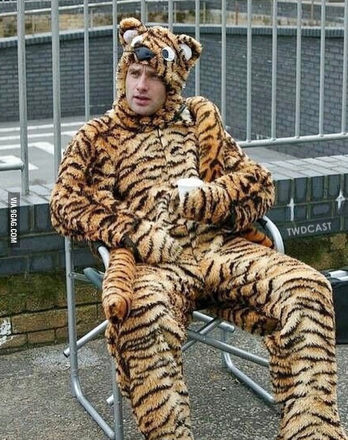 The tiger from TWD, Shiva, looks amazing - 9GAG