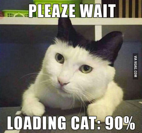Loading... 90% - 9GAG