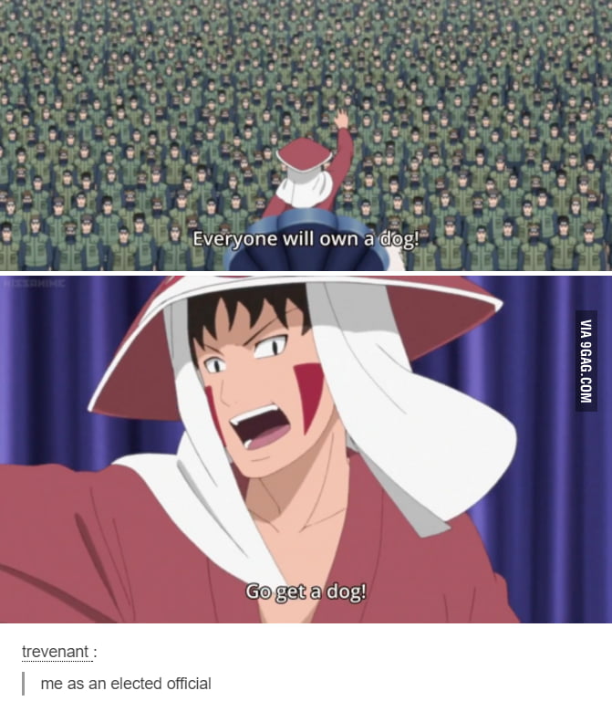 Doge > Cate (grabs popcorn) - 9GAG