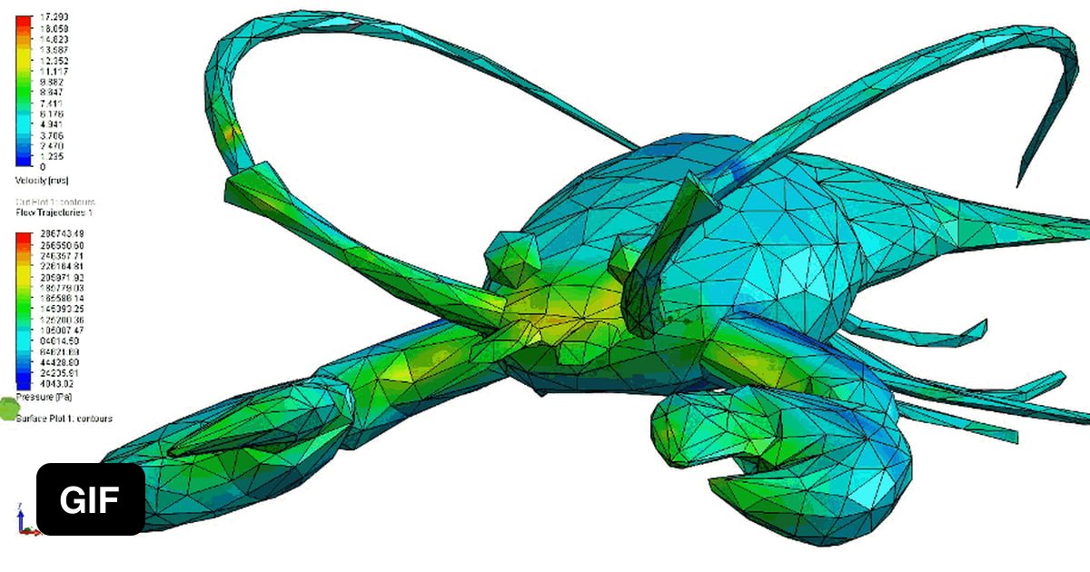 Aerodynamics of a Lobster, in case you wonder... Fascinating animal ...