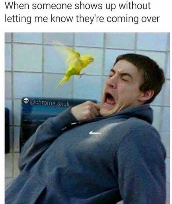 Chirp chirp mothafukker!! - 9GAG